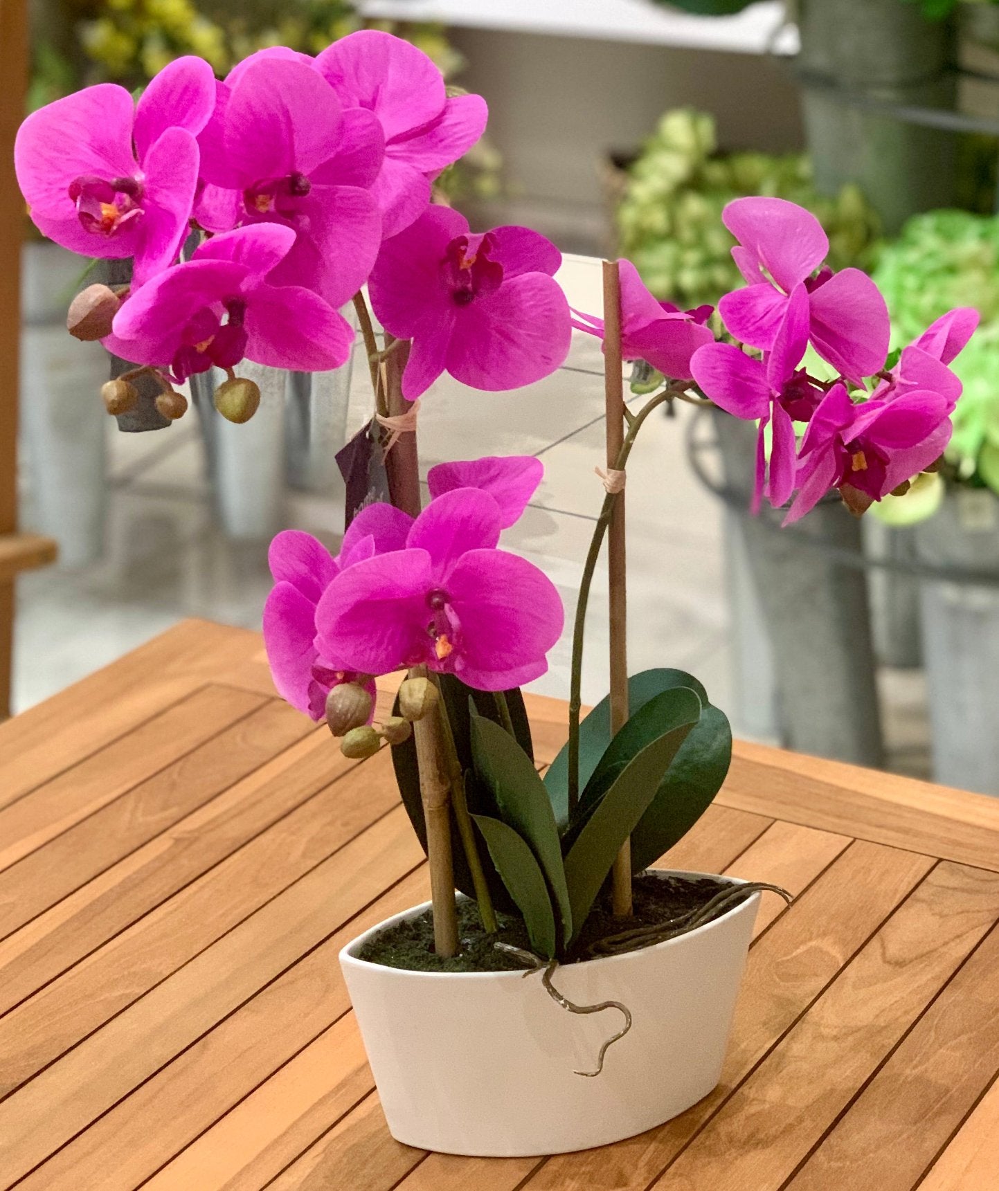 Regalos Costa Rica – Gifts to Costa Rica